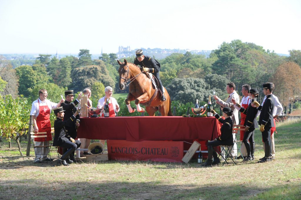 Vintus - Wine & Spirits Importer of the Year 2022