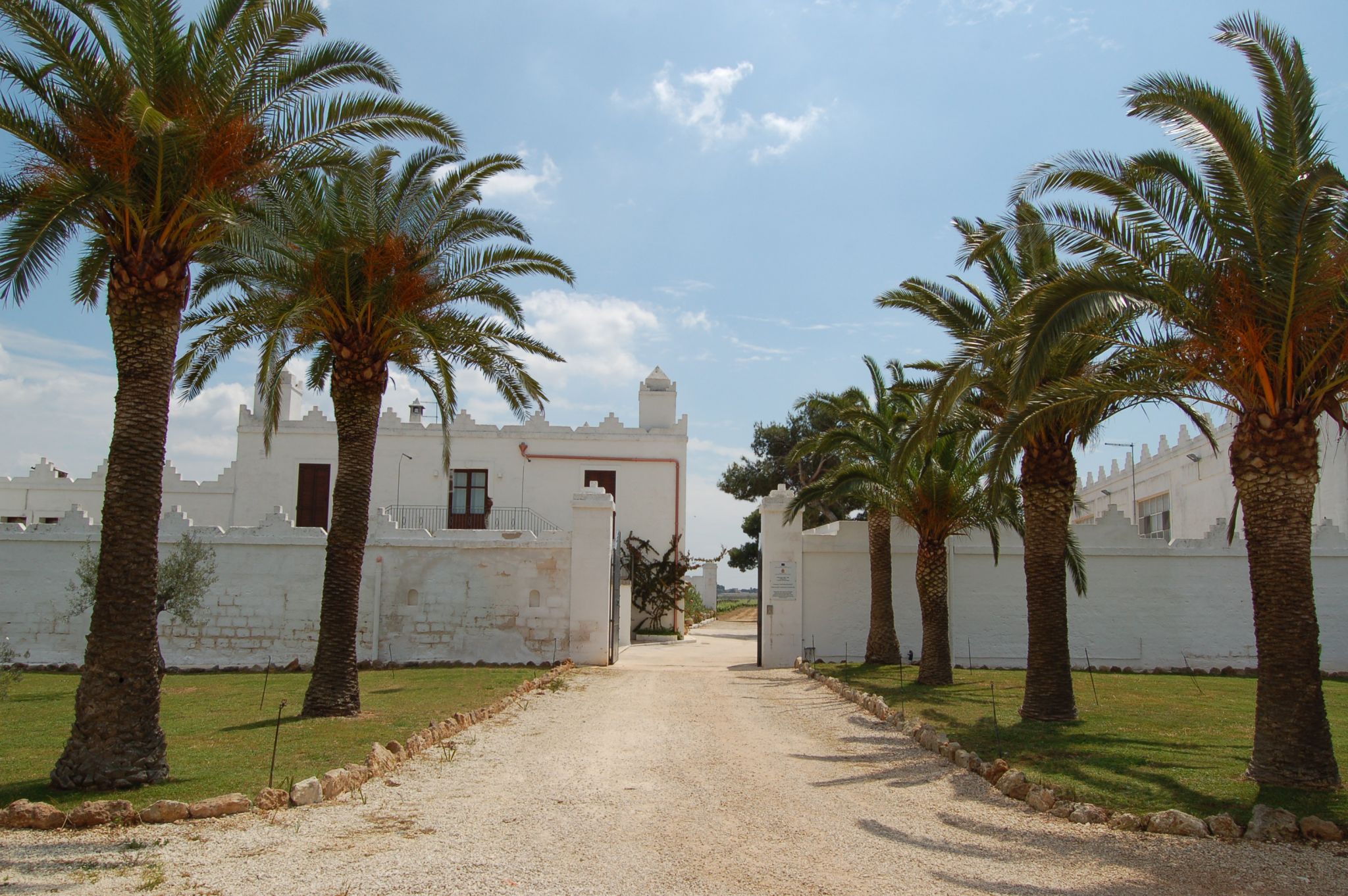 Masseria Surani Primitivo Cabernet 2020