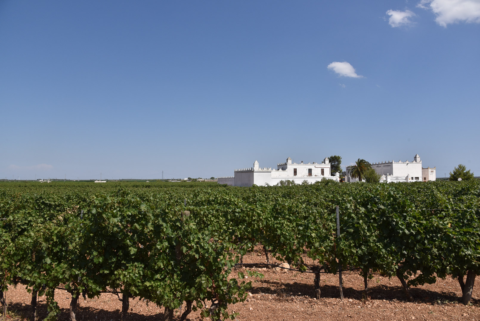 Masseria Surani Primitivo Cabernet 2020